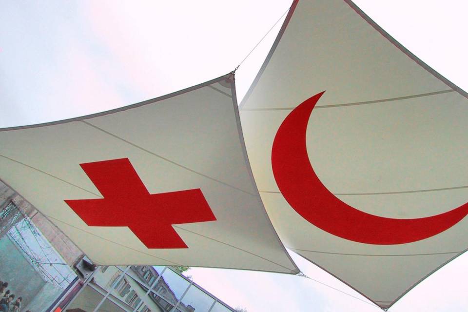 Medalla Henry Davison - Cruz Roja